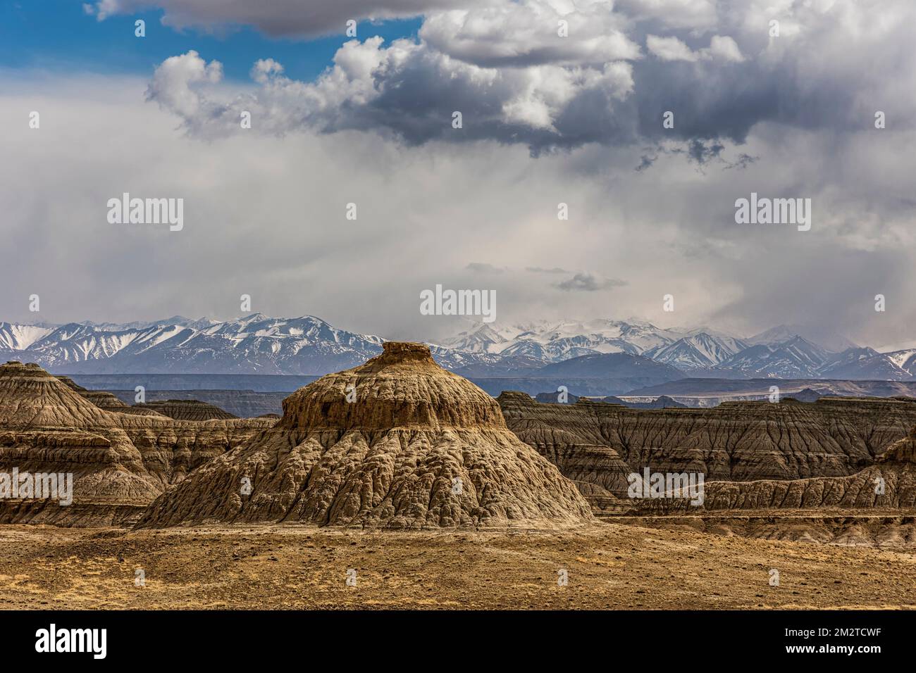 The beautiful view of Earth forest landform in Zanda County, Tibet ...
