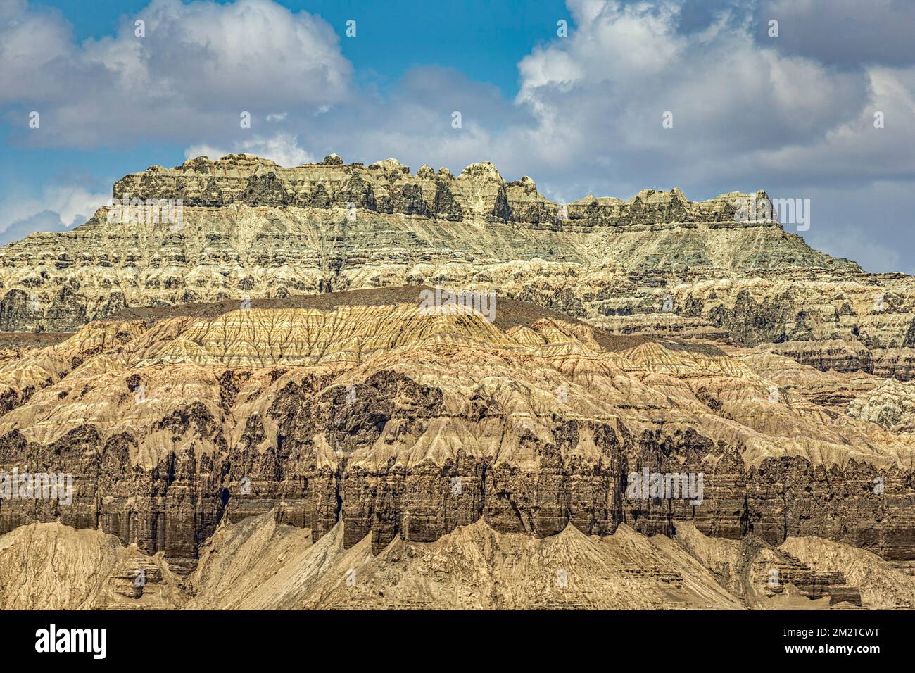 The beautiful view of Earth forest landform in Zanda County, Tibet ...