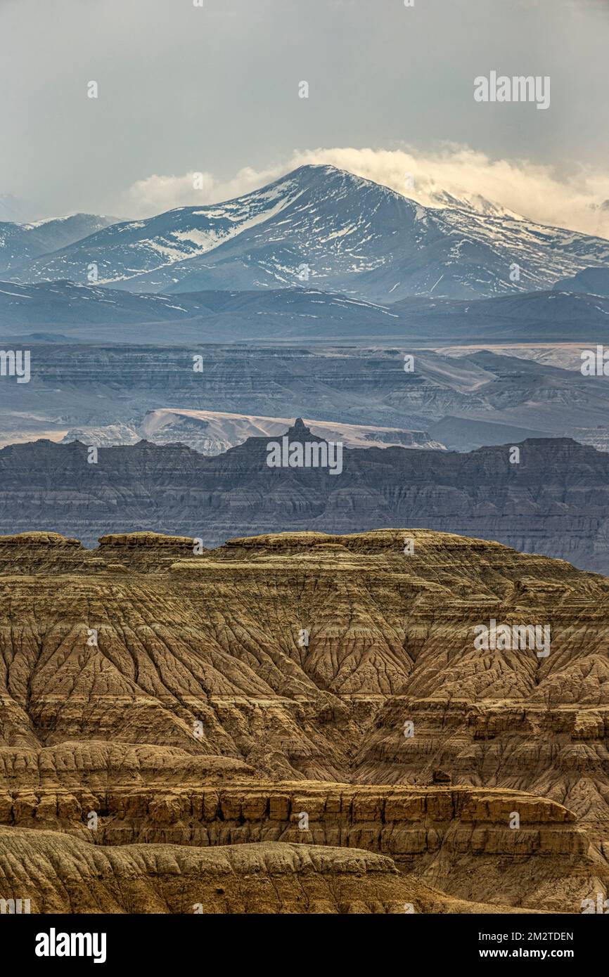 A vertical shot of the Earth forest landform in Zanda County, Tibet ...