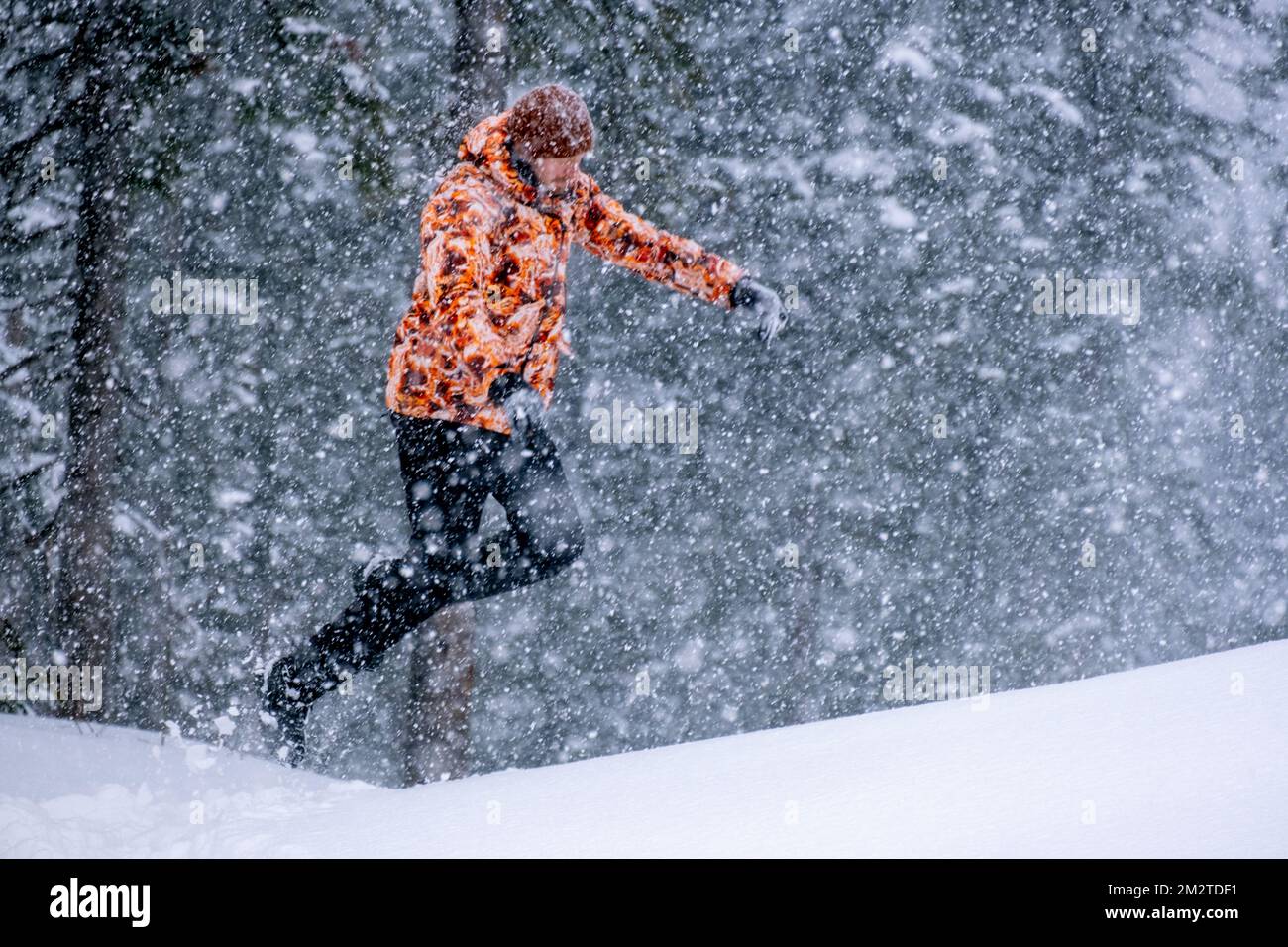 A man is drowning in snowdrifts. Snowstorm in the middle of the forest ...