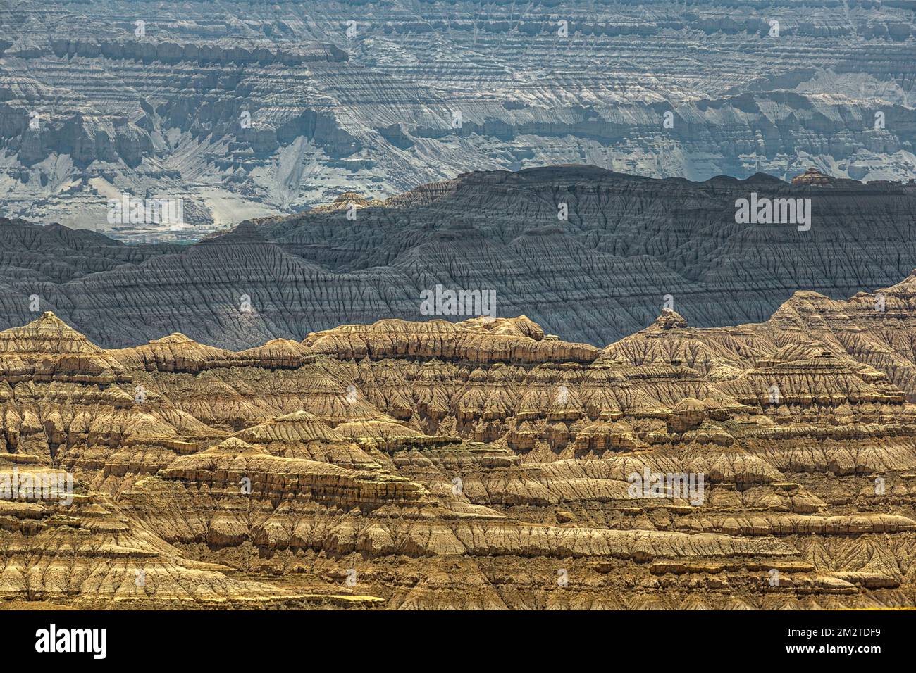 The beautiful view of Earth forest landform in Zanda County, Tibet ...