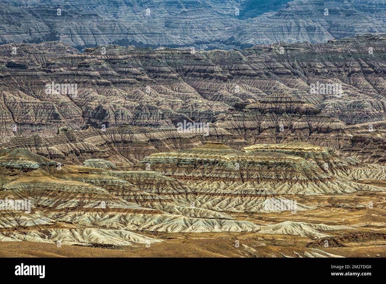 The beautiful view of Earth forest landform in Zanda County, Tibet ...
