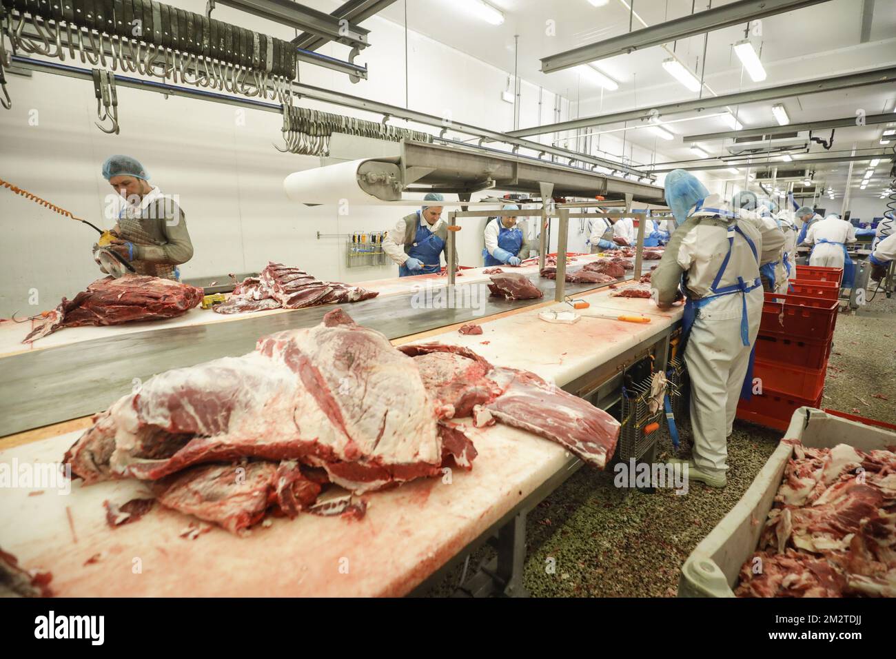 Illustration picture shows the production of beef meat at the ...