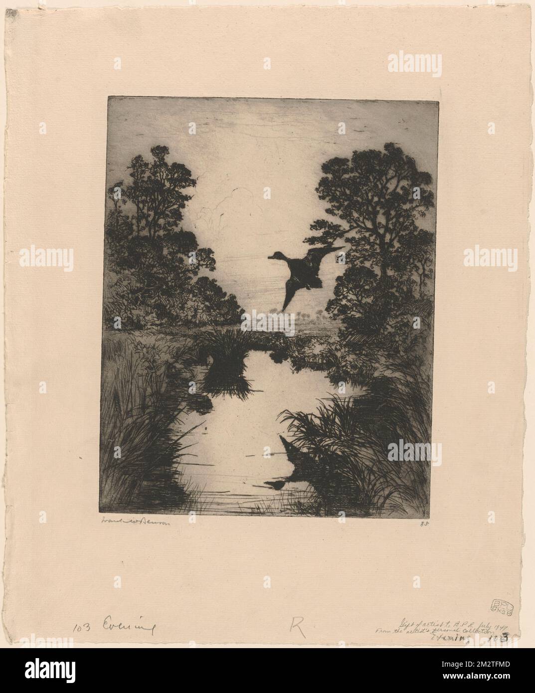Evening , Birds, Flying, Sunrises & sunsets, Bodies of water, Trees ...