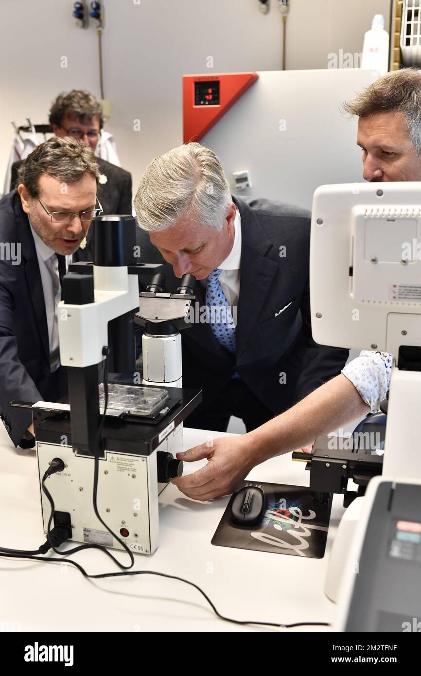 Uzantwerpen hi-res stock photography and images - Alamy