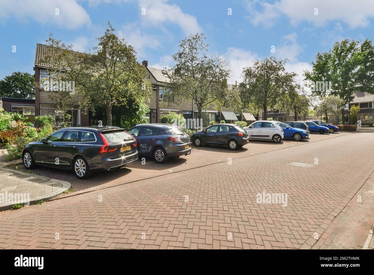 View of street near building with beauty of vegetation outside Stock ...