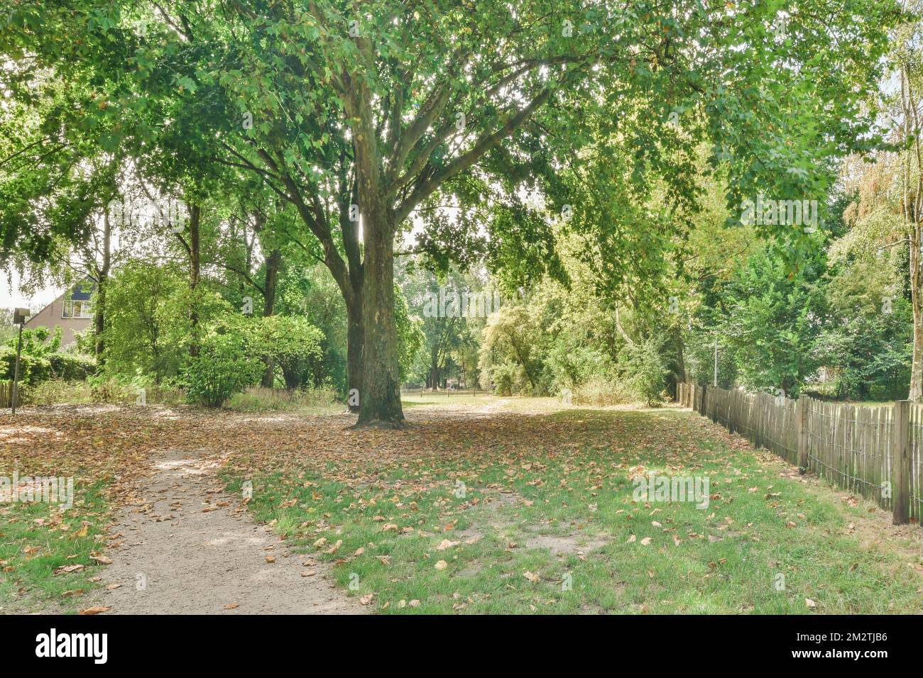 View of street near building with beauty of vegetation outside Stock ...