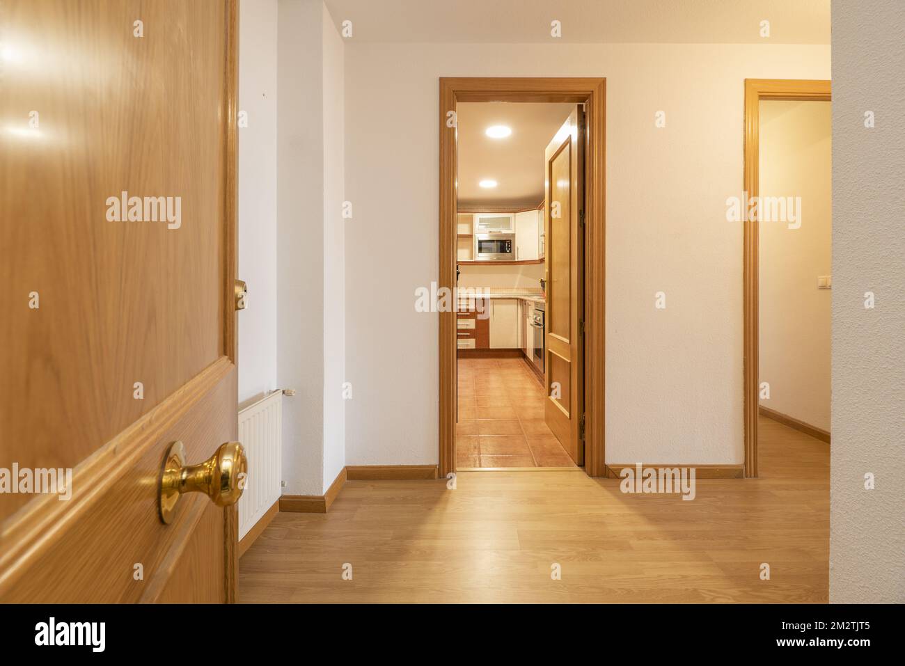 Entrance hall of an urban residential house with oak carpentry on doors ...