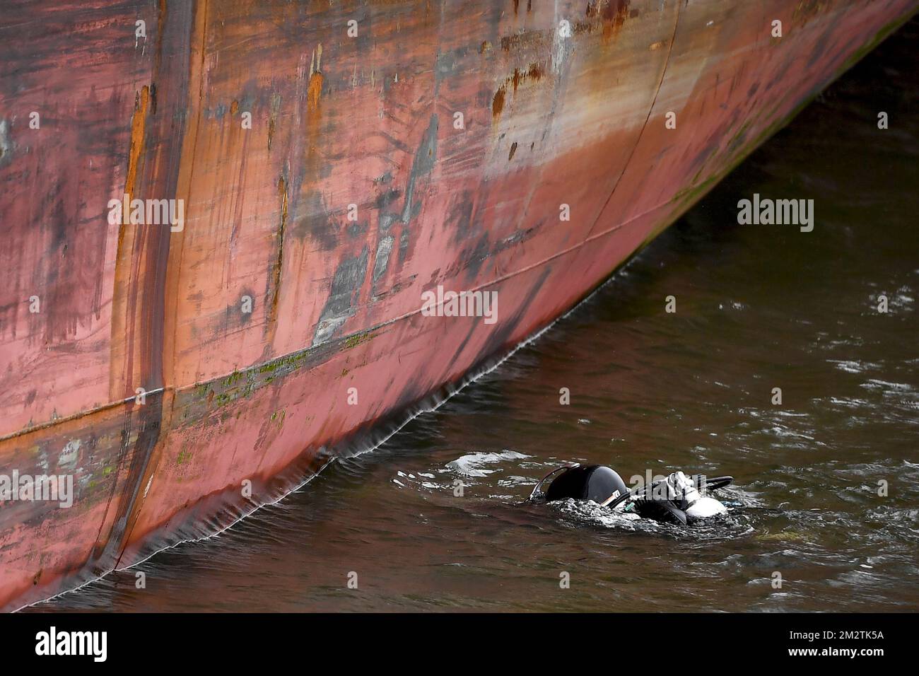 Illustration picture shows a diver during a press visit during a ...