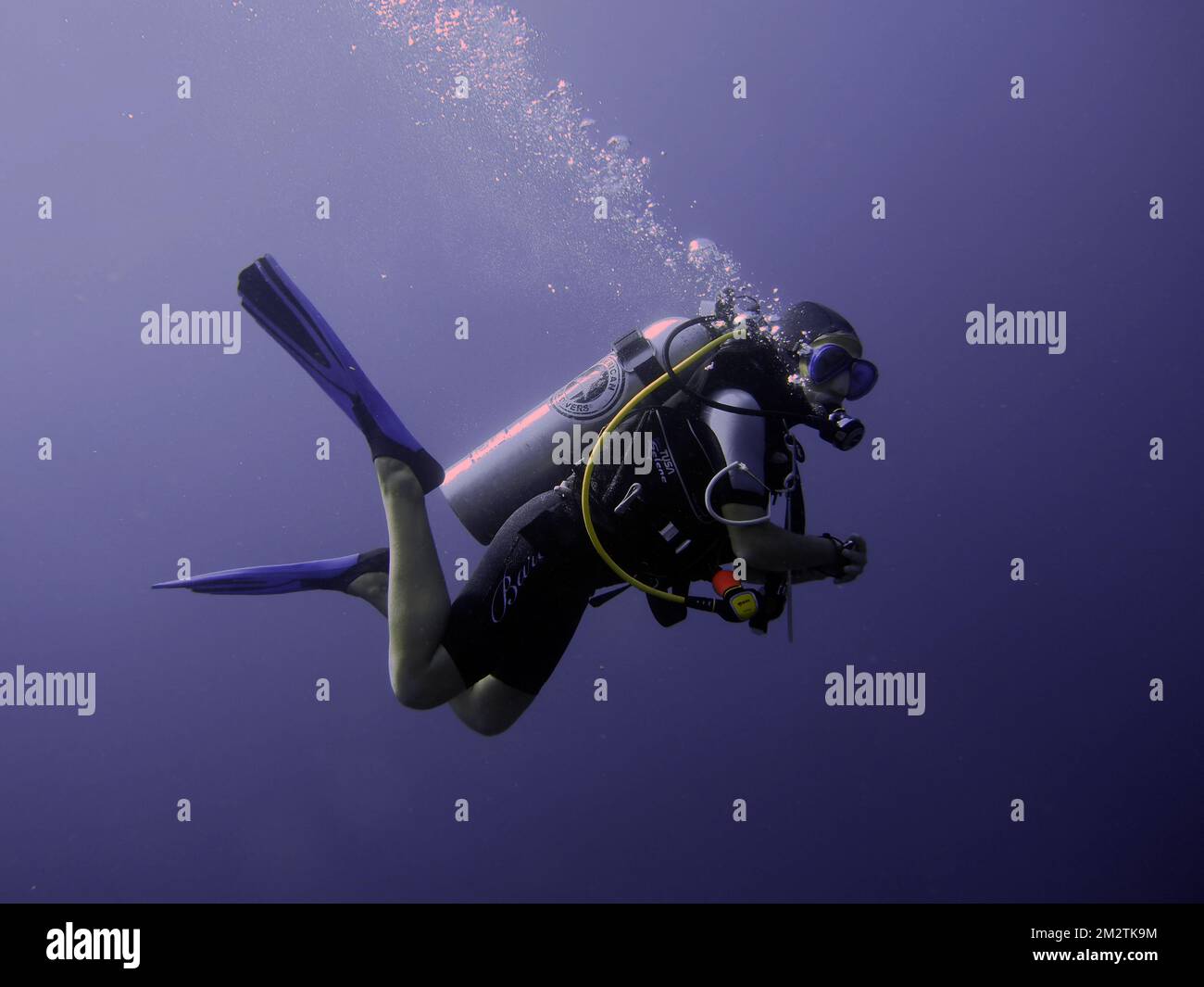 Diving Kalimaya Dive Resort Stock Photo - Alamy