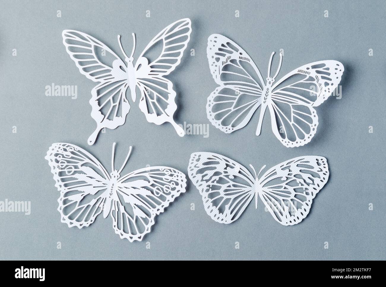 Butterfly paper on grey colour background Stock Photo - Alamy