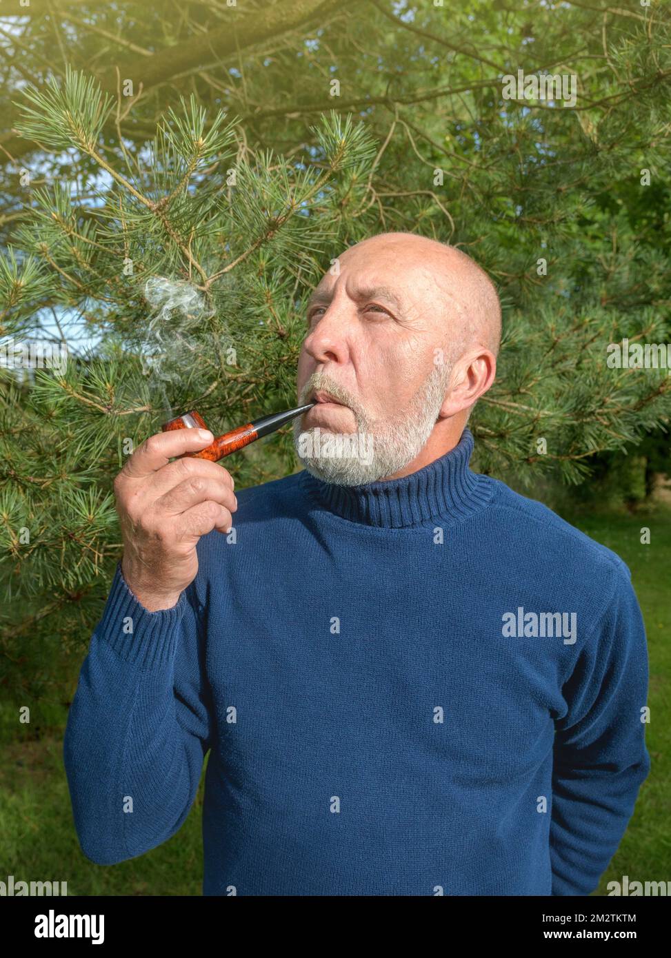 A man with a beard and a smoking pipe enjoys nature looks into the ...