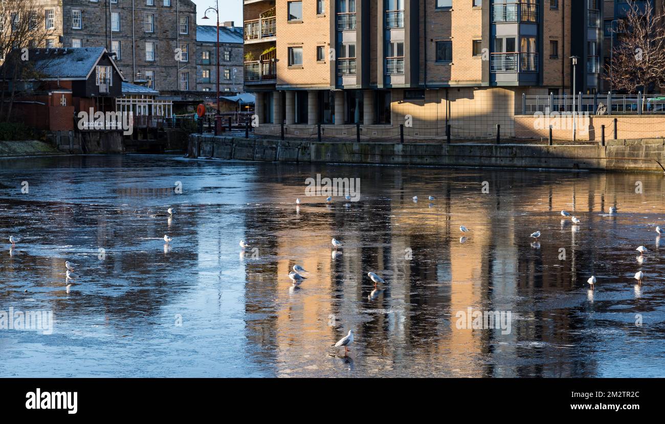 Leith, Edinburgh, Scotland, UK, 14th December 2022. UK Weather: Water ...