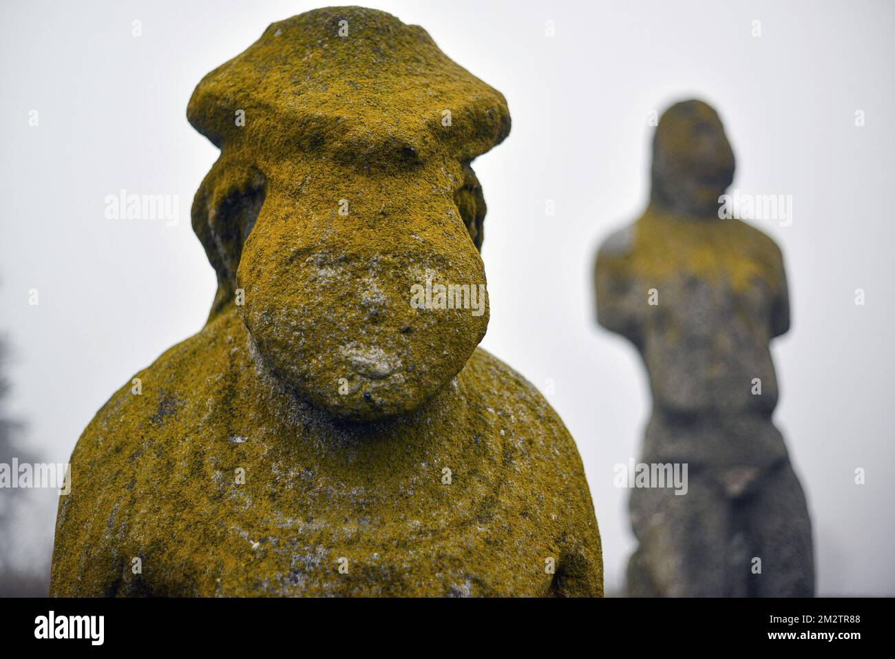 Non Exclusive: KHARKIV REGION, UKRAINE - DECEMBER 13, 2022 - Polovtsian ...