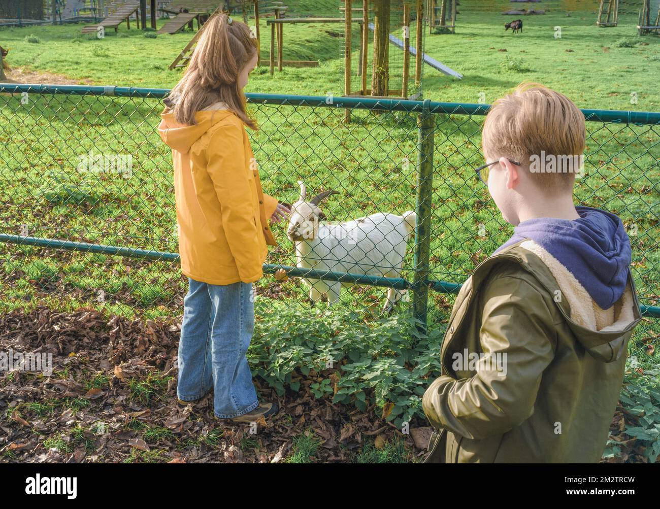 Stock image boy hi-res stock photography and images - Alamy