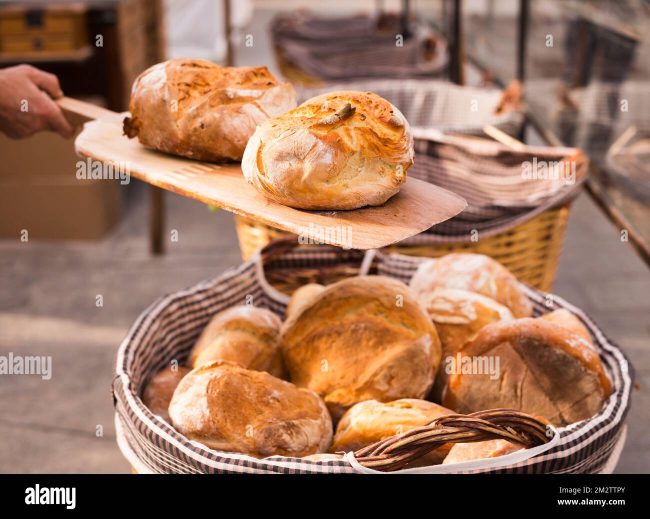 ruddy rolls of fresh warm grain bread Stock Photo - Alamy