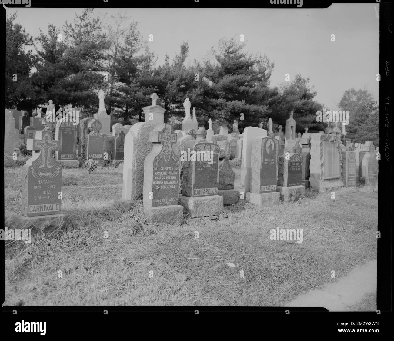 Fairchilds MacCarthy. John French. Forest Hills Cemetery. St. Michael's ...