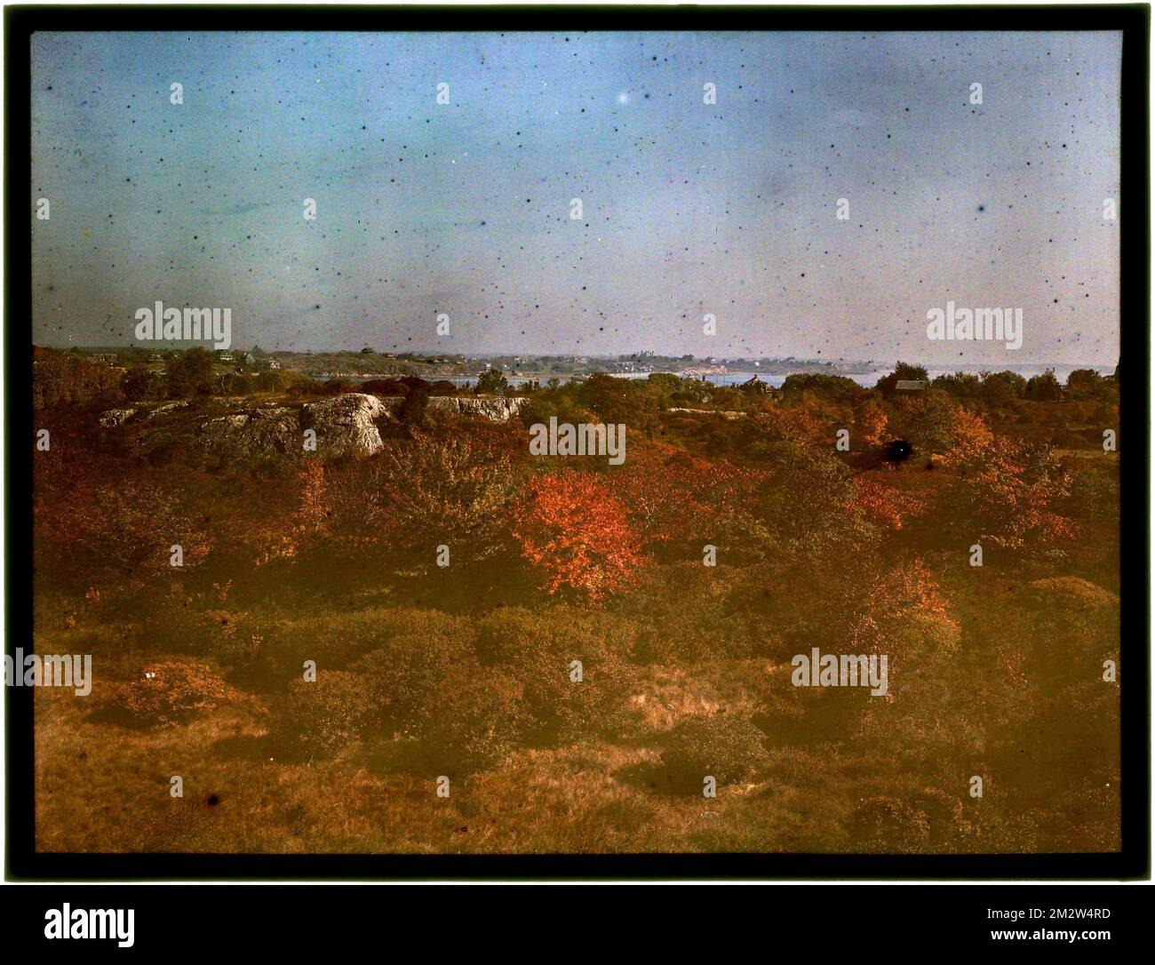 Fall colors overlooking Marblehead Harbor , Cities & towns, Trees ...