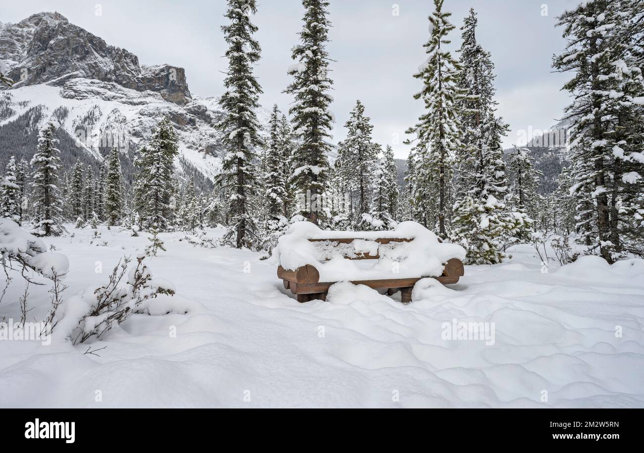 Snow covered bench at Emerald Lake in Yoho National Park, British ...