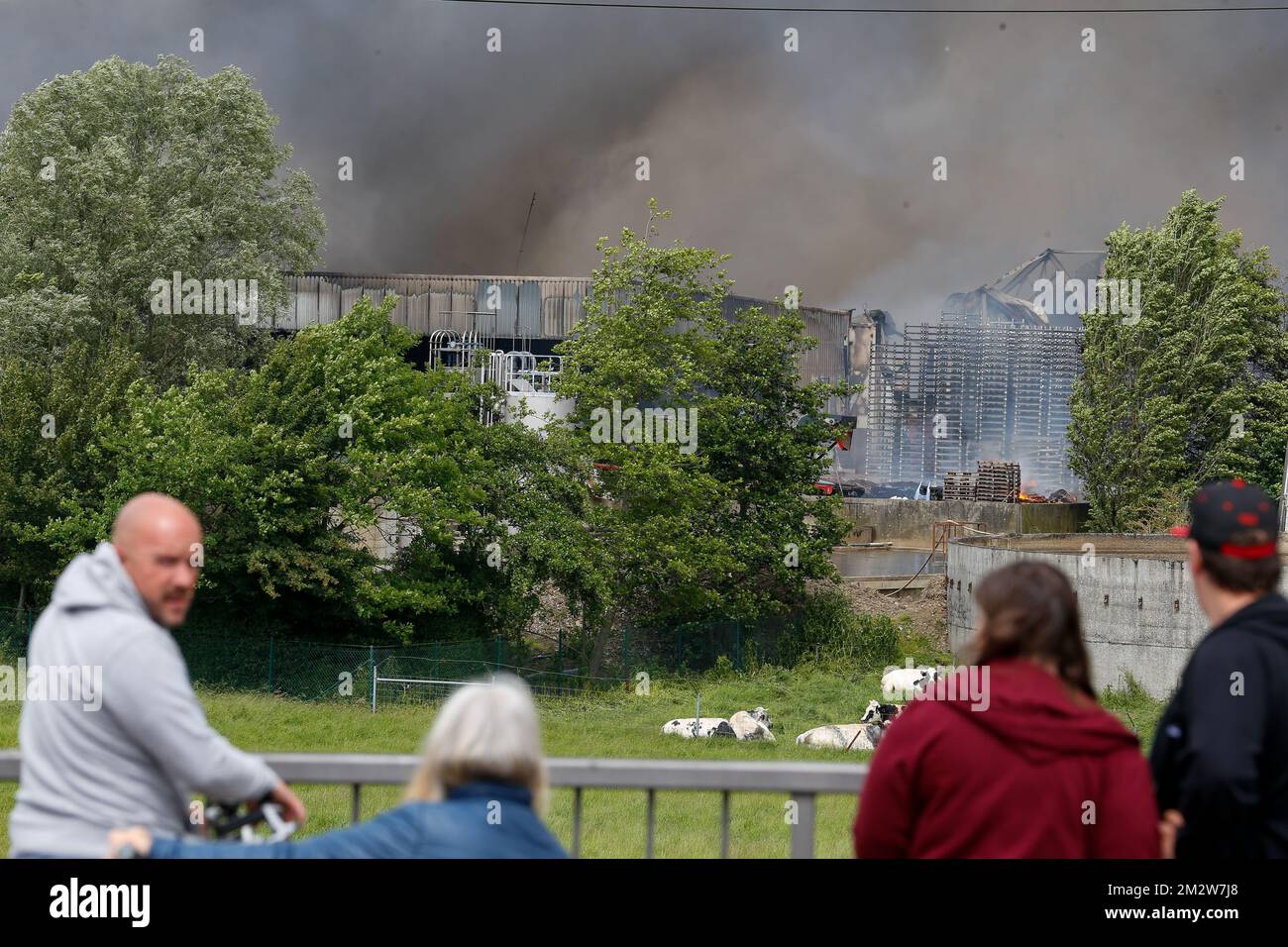 Ammonia leak hi-res stock photography and images - Alamy