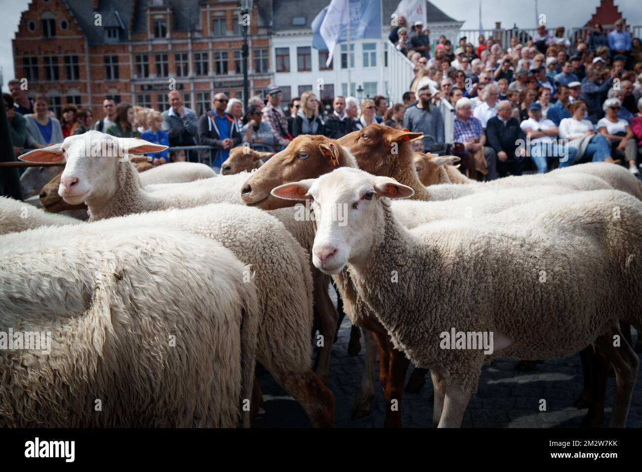 Illustration picture shows the Holy Blood Procession (Heilige ...