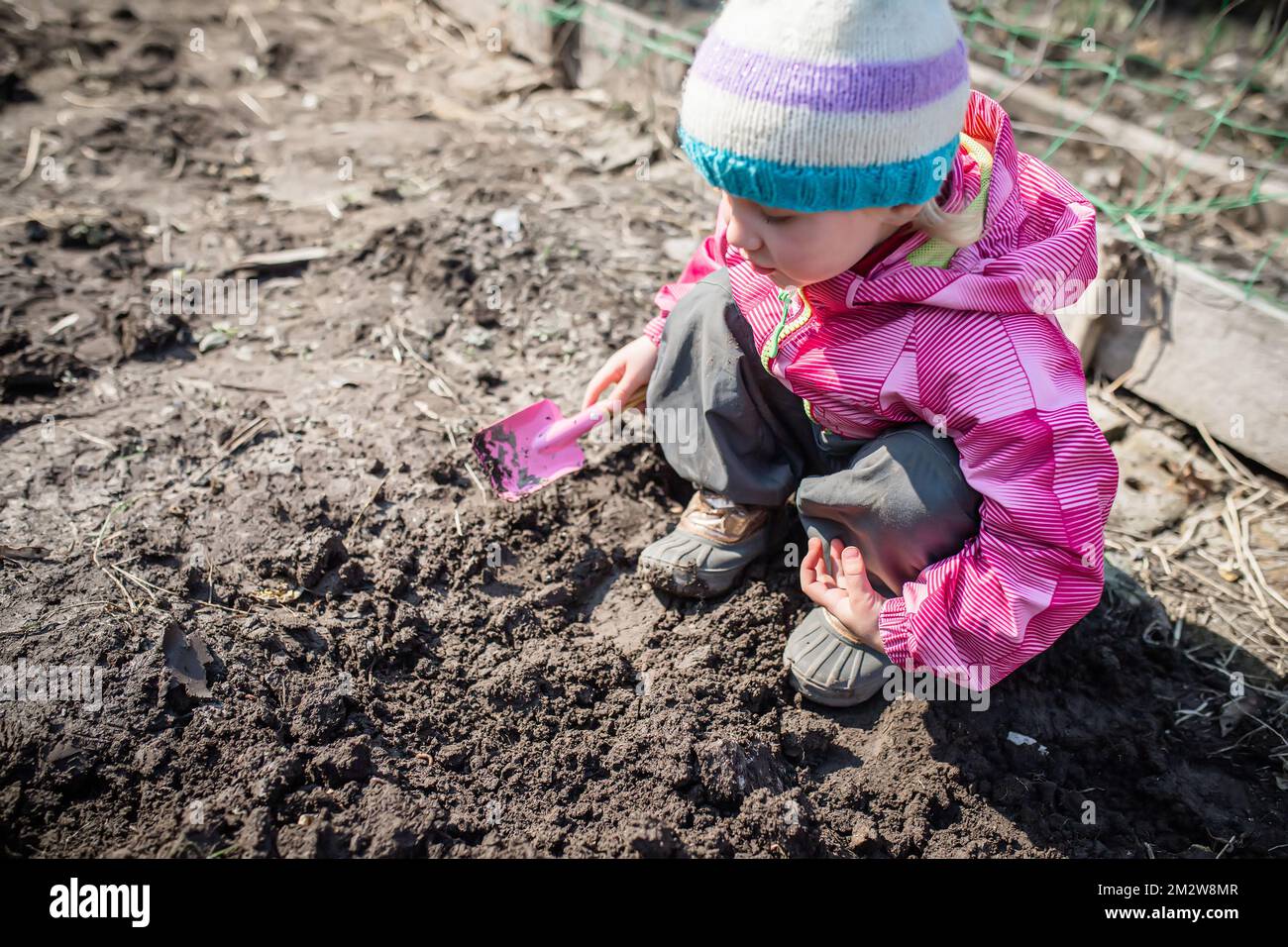 small child in garden digs beds for planting plants. Gardeners hands ...