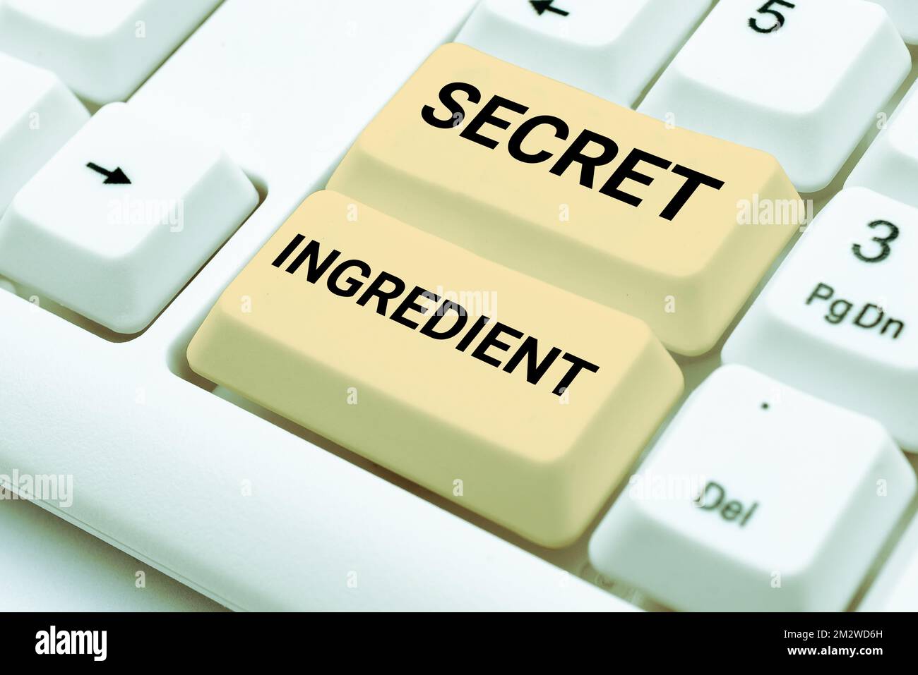 Handwriting text Secret Ingredient. Word Written on special technique ...