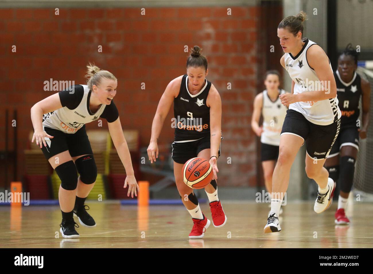 Belgian Cats Hanne Mestdagh and Belgian Cats Marjorie Carpreaux ...