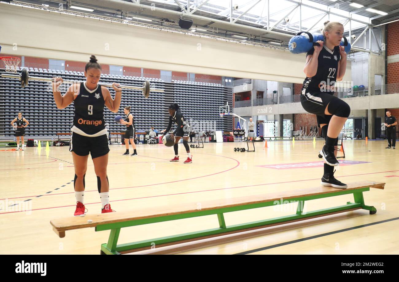 Belgian Cats Marjorie Carpreaux and Belgian Cats Hanne Mestdagh ...