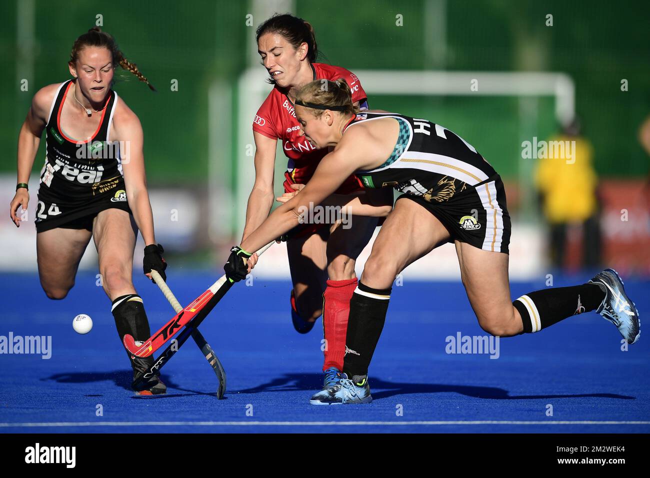 German pia hi-res stock photography and images - Alamy