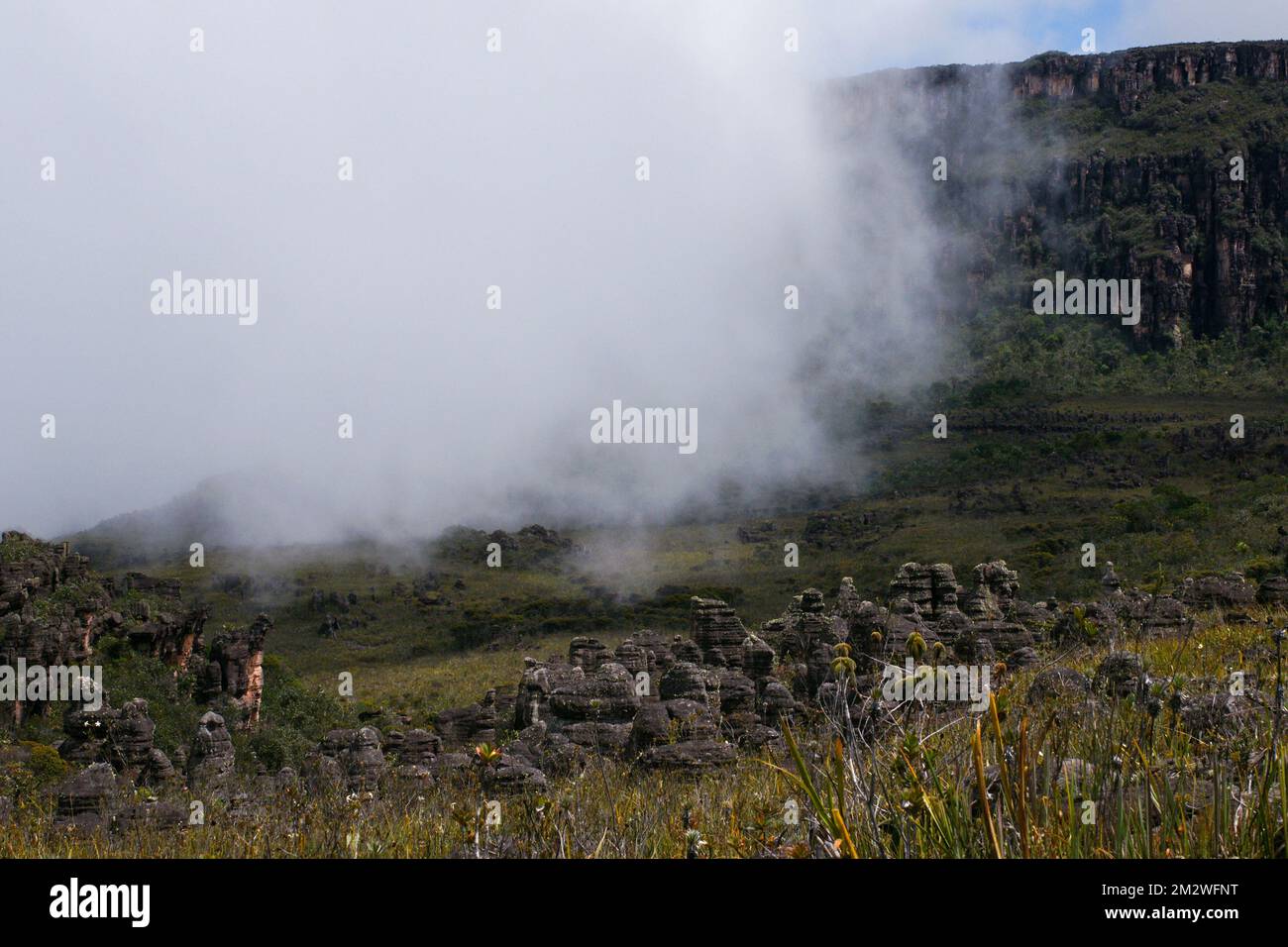 Cloud moving in over the sandstone plateau of Amuri Tepui, Chimanta ...