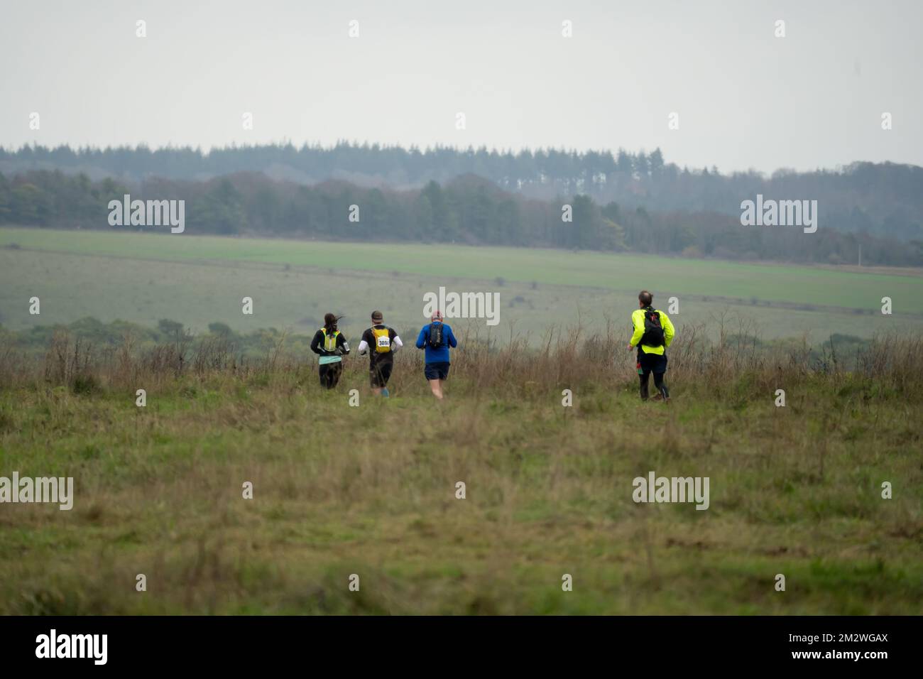 group of cross country runners crossing grass meadows in open ...