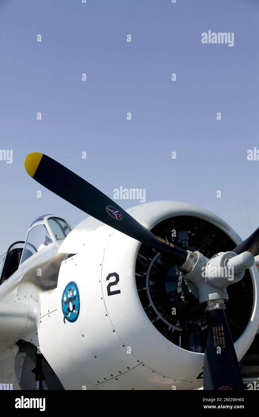 Reno stead airport war birds hi-res stock photography and images - Alamy