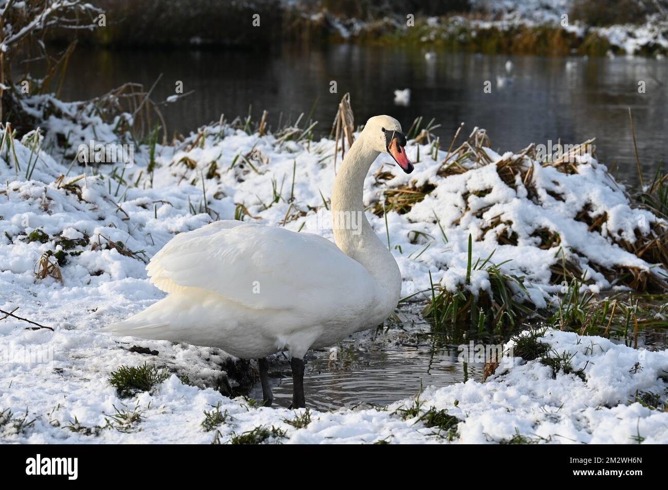 Naturism family hi-res stock photography and images - Alamy