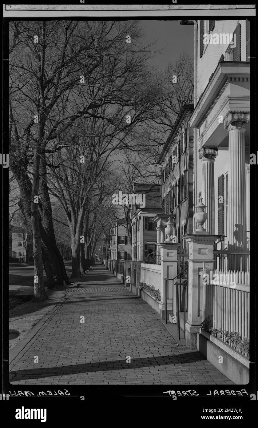Tree lined sidewalks Black and White Stock Photos & Images - Alamy