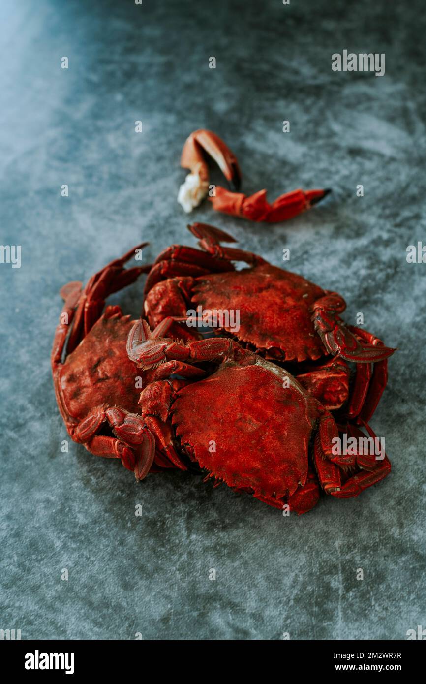 some cooked velvet crabs, also known as necora crabs, on a gray stone ...