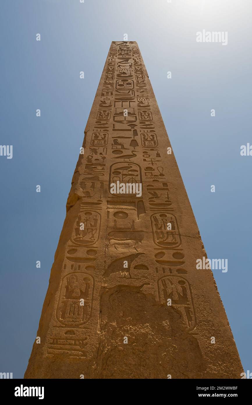 A low angle shot of obelisk with hieroglyphs, inscriptions and drawings ...