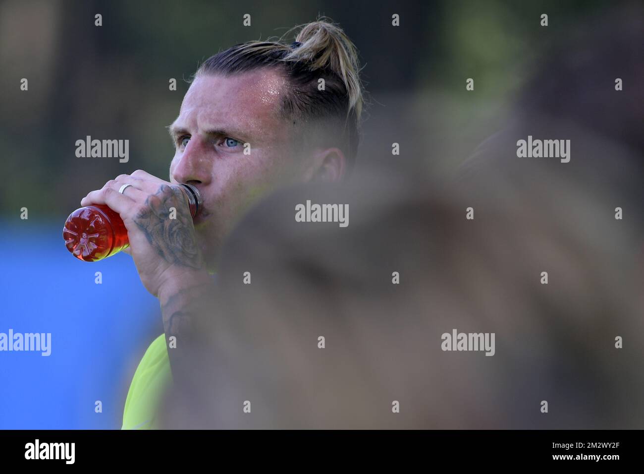 Genk's Sebastien Dewaest pictured during a training of Belgian soccer ...