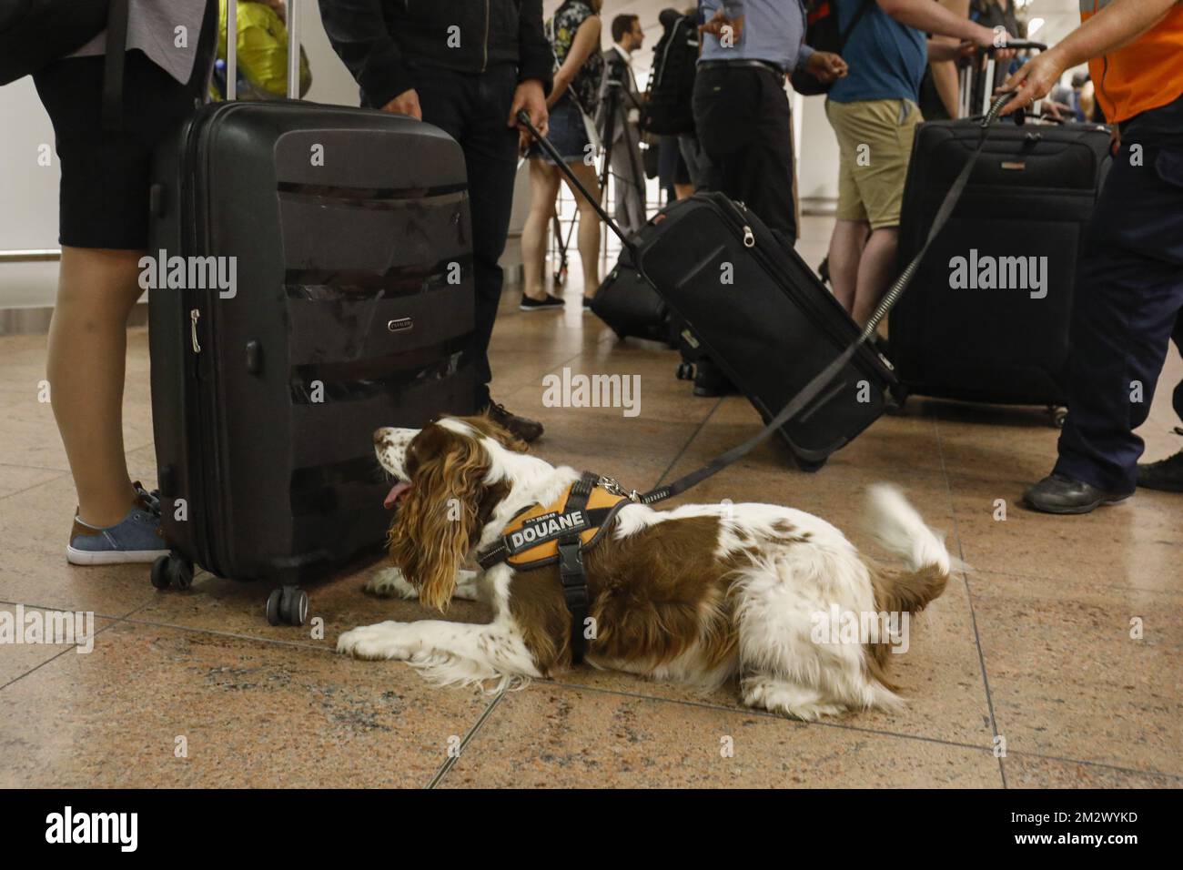 Illustration picture shows shows controls during the opening of a new ...