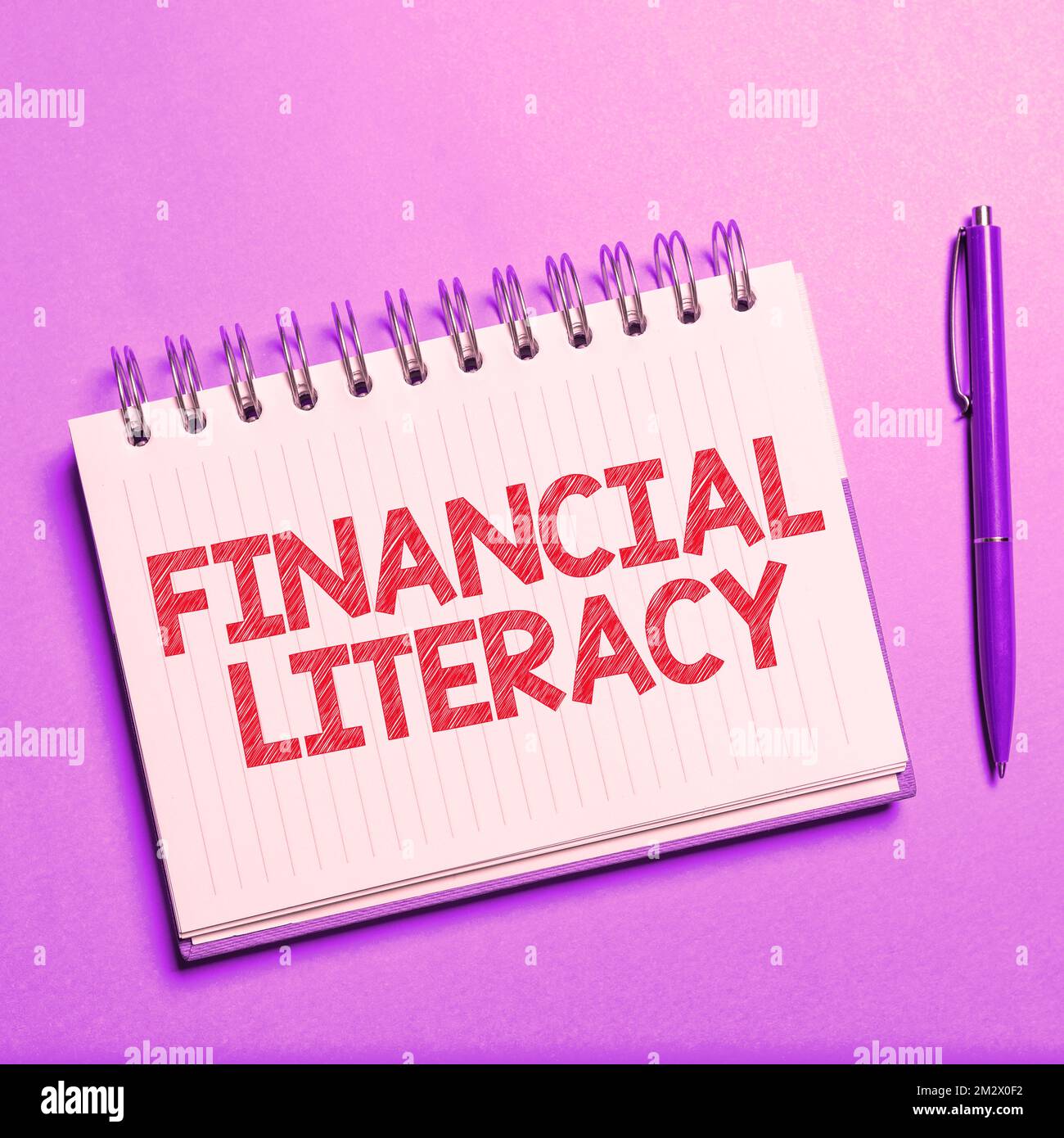 Inspiration showing sign Financial Literacy. Concept meaning Understand ...