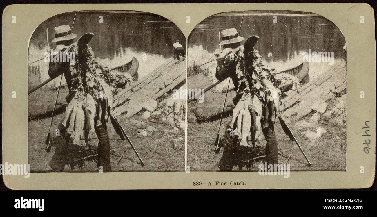 A fine catch , Fish, Fishing Stock Photo - Alamy