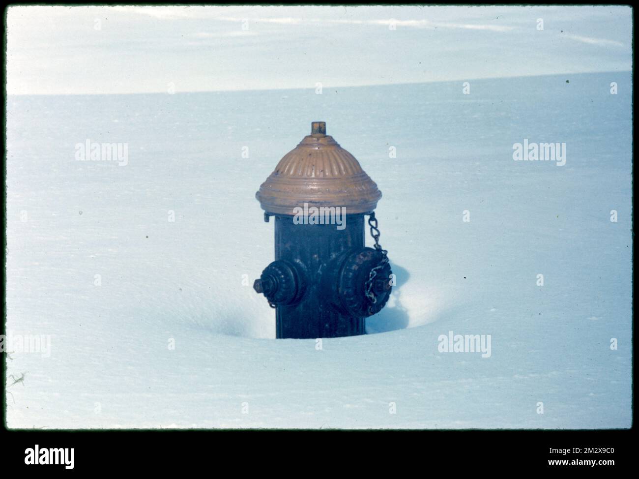 Fire hydrant in deep snow, Arnold Arboretum , Fire hydrants, Botanical ...