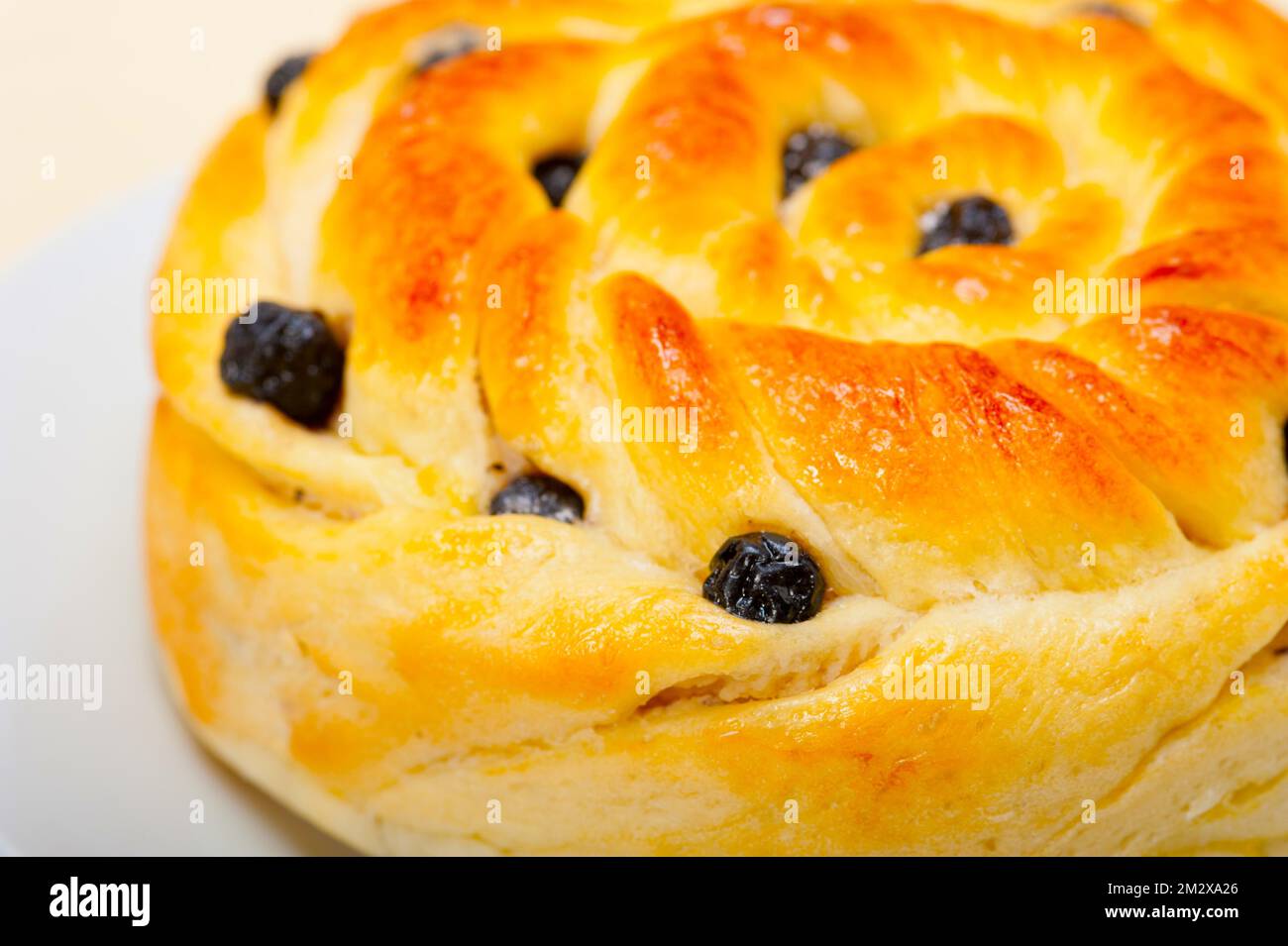 Fresh home baked blueberry bread cake dessert over white wood table ...