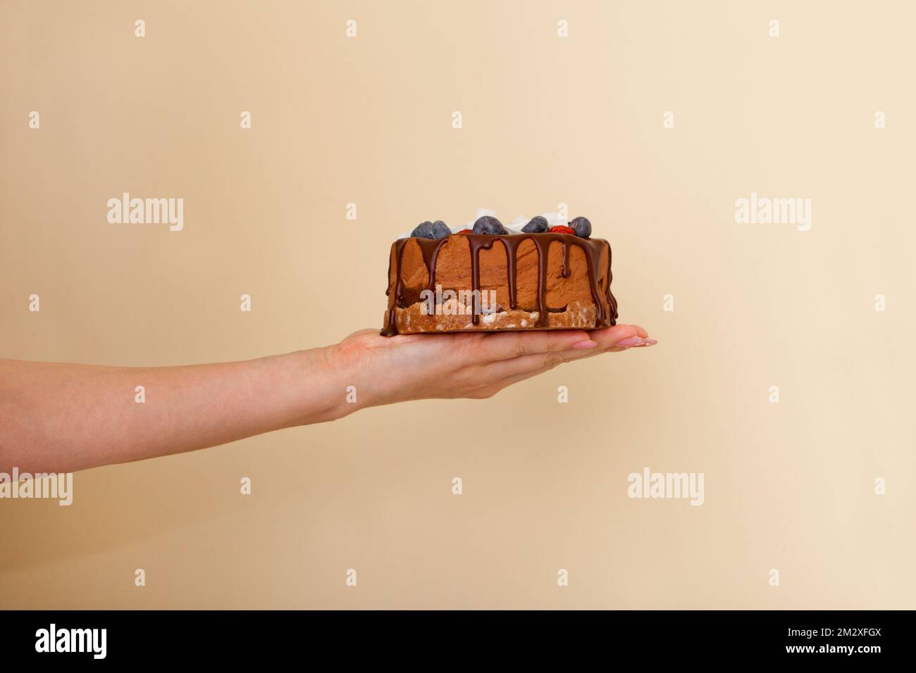 chocolate cake on woman hand. small pie with berries. Ladys Hand ...