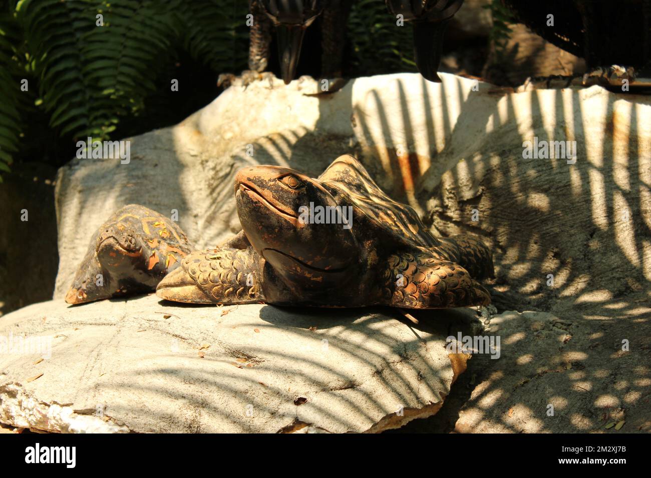 Beautiful stone turtle sculpture lighted in the sun of Thailand Stock ...