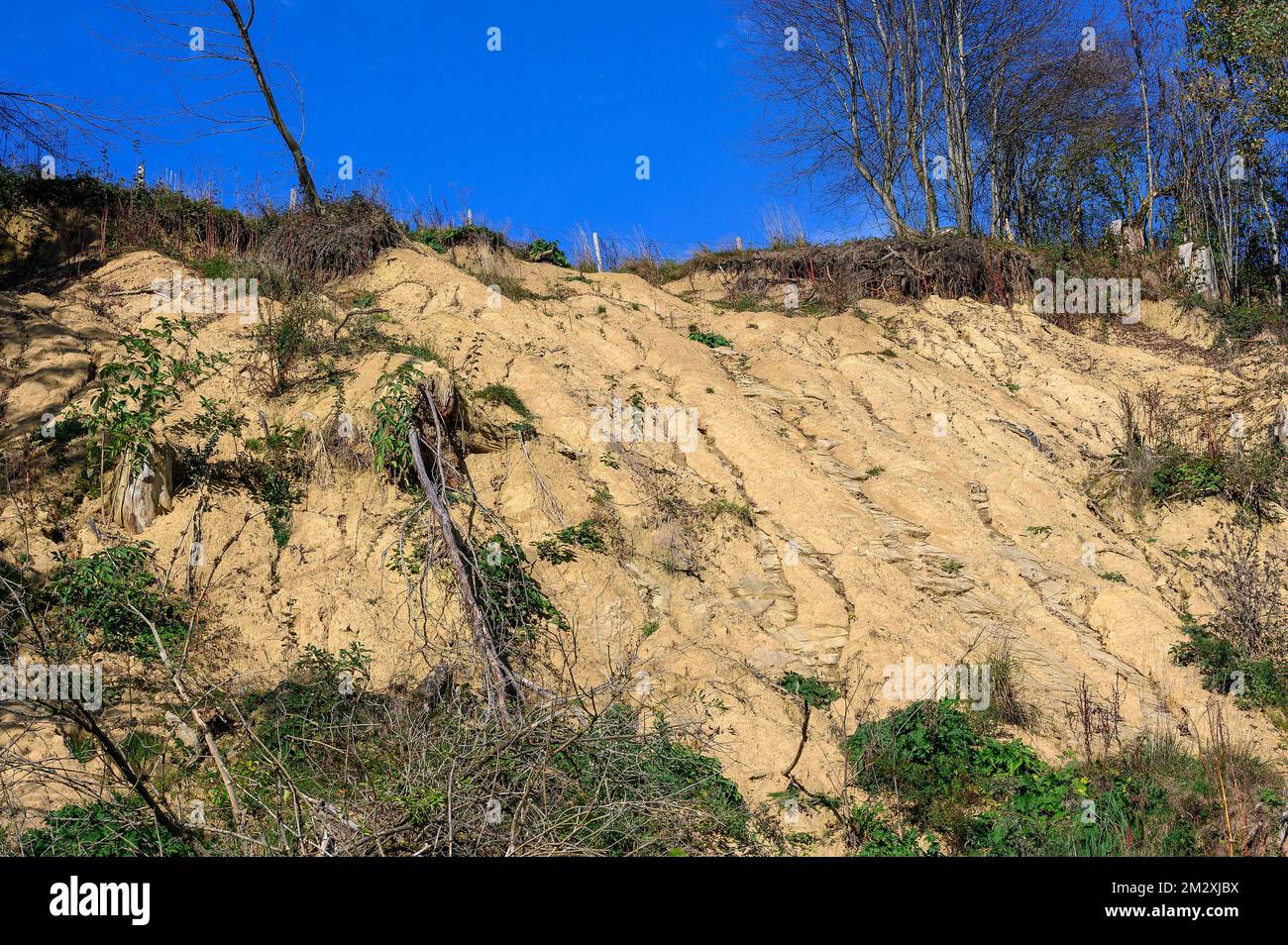 Landslide, erosion slope near Waltenhofen-Eggen, Allgaeu, Bavaria ...