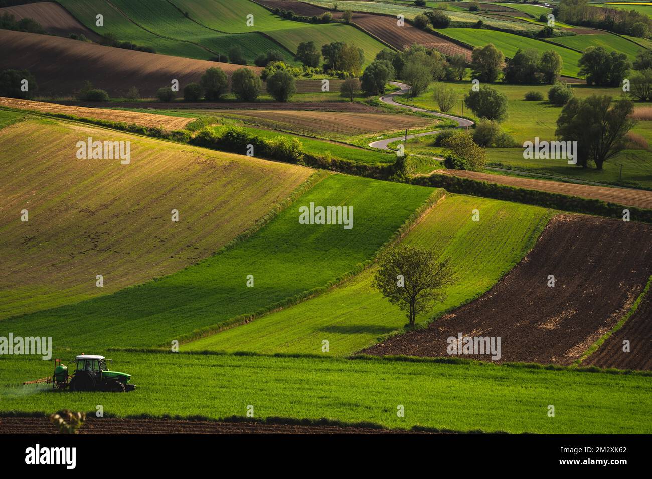 Countryside, tractor, spraying fertiliser, fields, road, spring ...