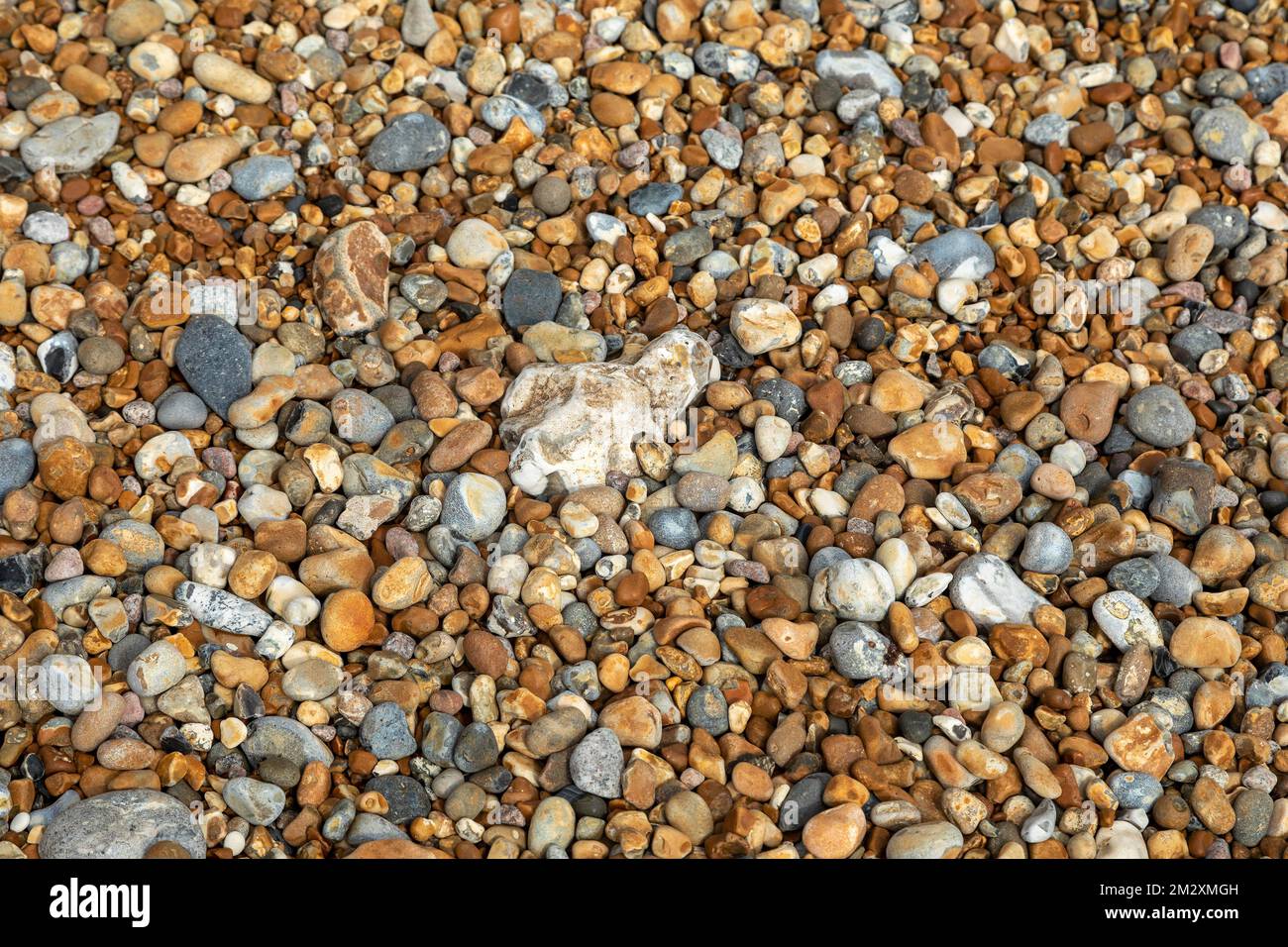 Stones on the Beach, Samphire Hoe Country Park, Kent, England, United ...