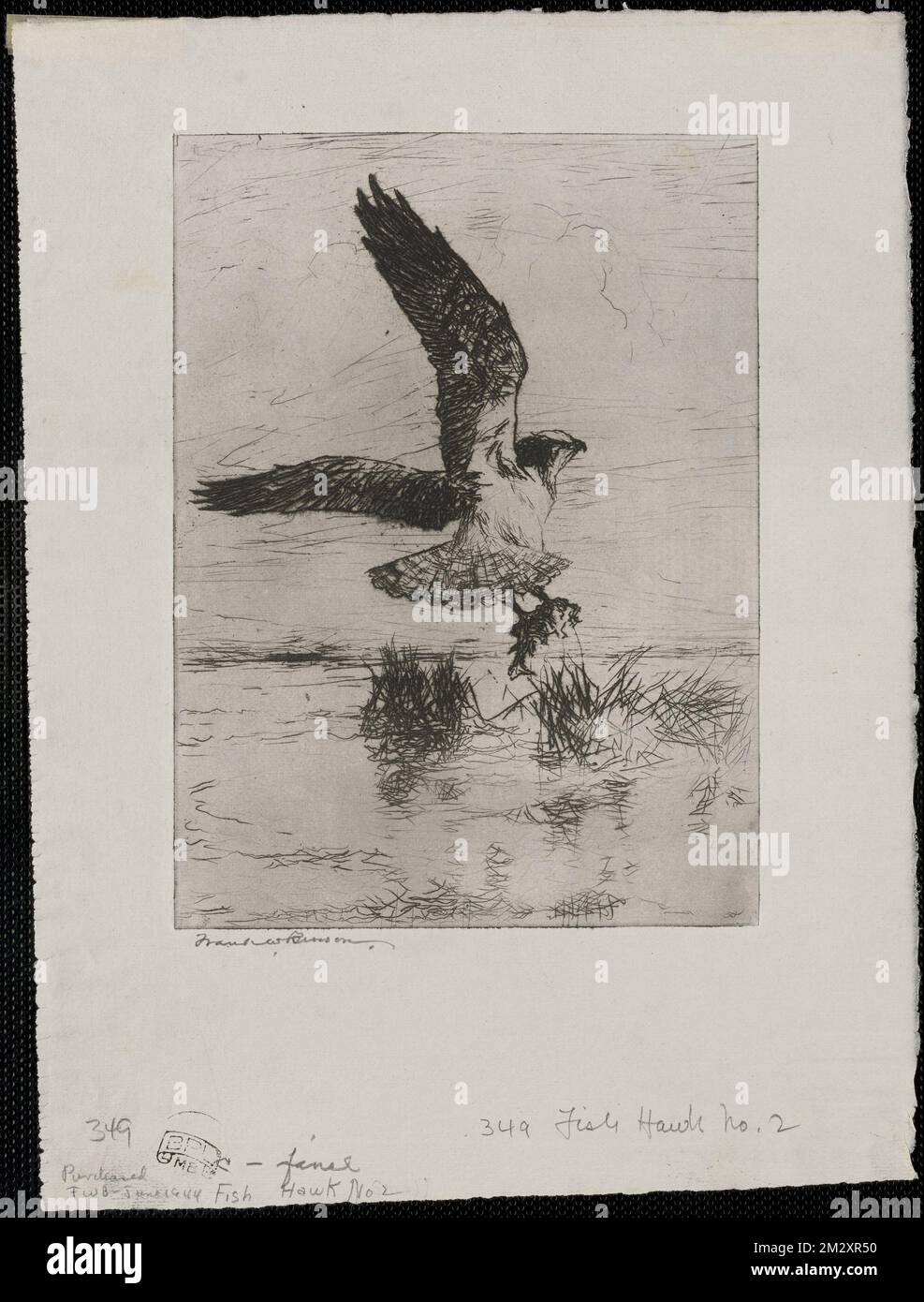 Fish hawk no.2 , Ospreys, Flying, Fish. Frank W. Benson (1862-1951 ...