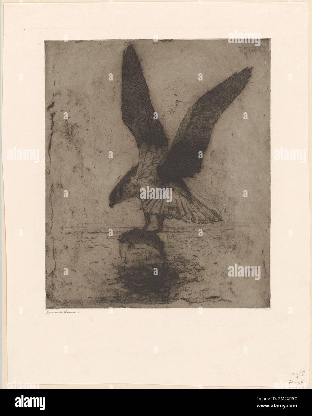 Frank hawk hi-res stock photography and images - Alamy